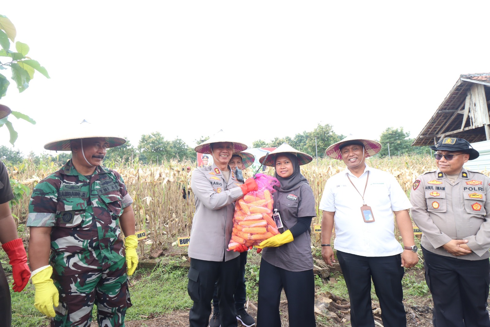 Dukung Ketahanan Pangan, Polres Bojonegoro Panen Raya Jagung - TURBONESIA.ID
